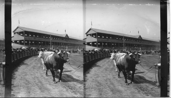 Collections & Research - UCR ARTS - [Title not known]